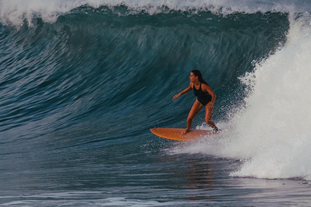 Petra Forsmark - Gomero